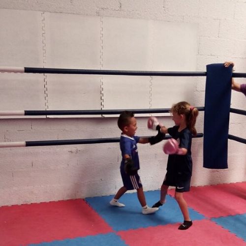 Boxe enfants & adolescents – MSBF club Montpellier savate boxe française
